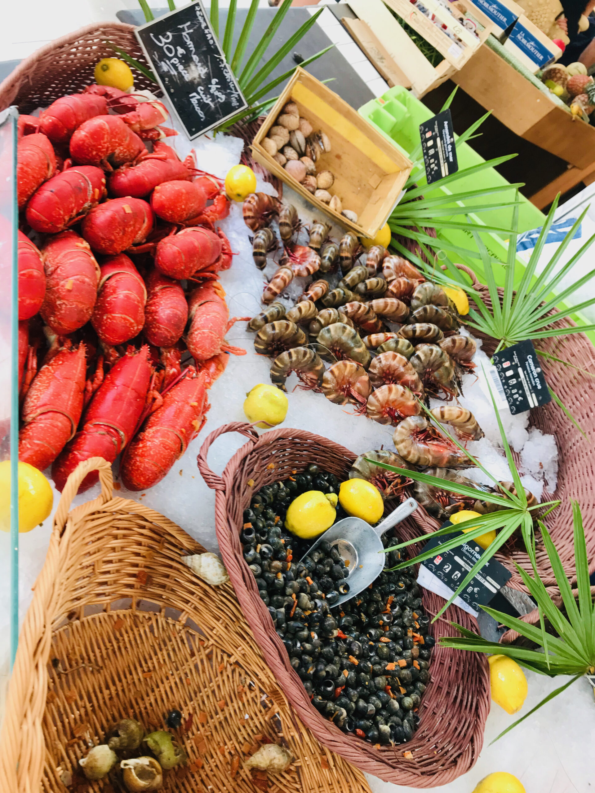 Things To Do - Le Portanel